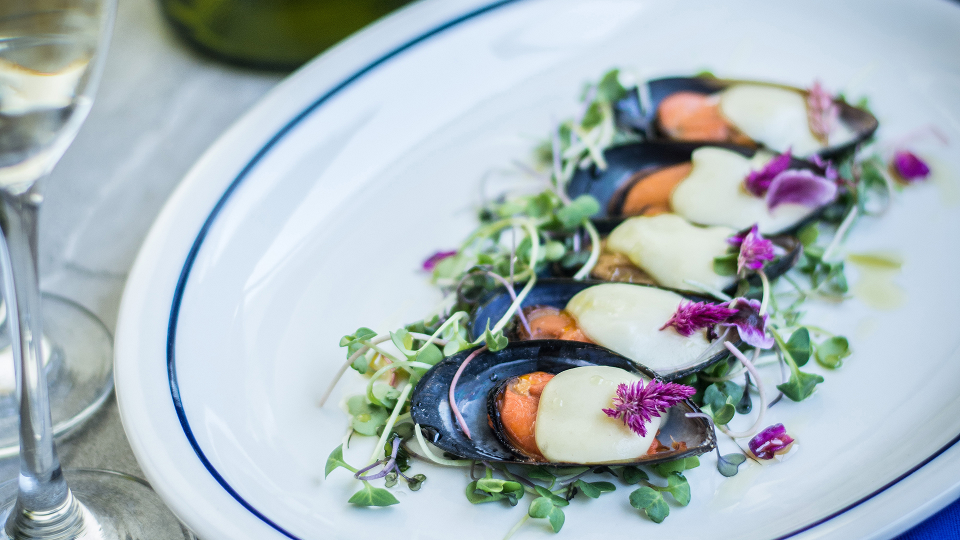 Mussels Au Gratin with Cheese Sauce - Camanchaca