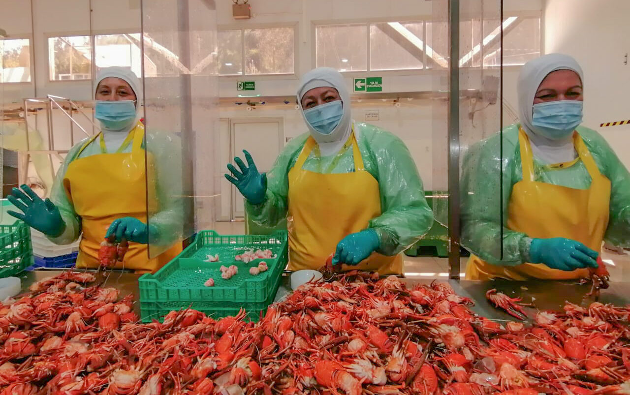 Home Page - Camanchaca