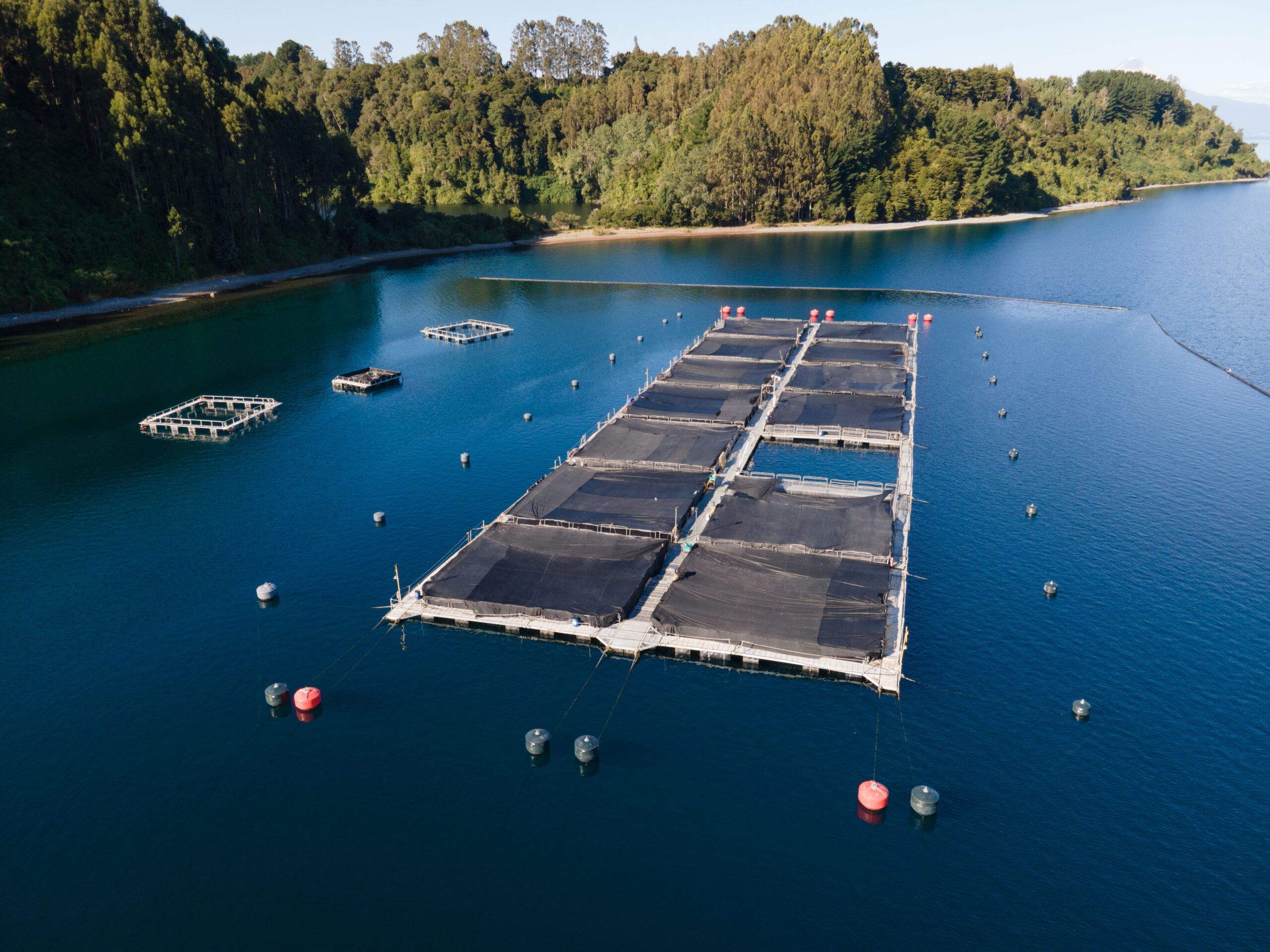 June 2021: Salmones Camanchaca publishes its seventh sustainability ...